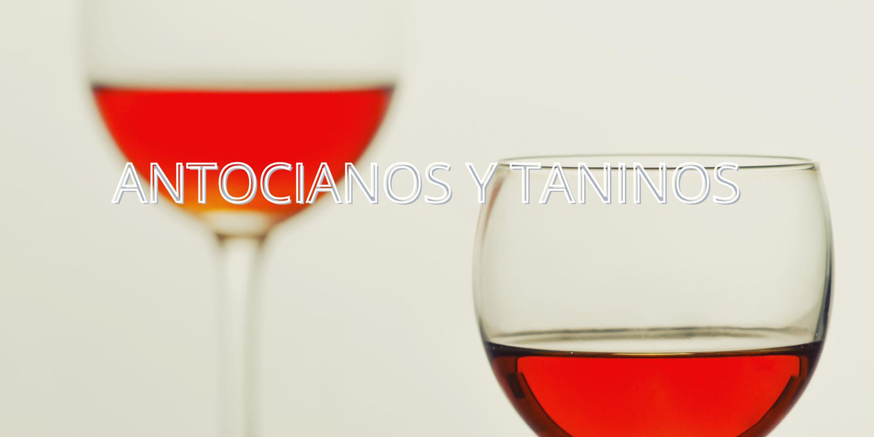 Antocianos y taninos: los pigmentos que dan color, estructura y vida a ...