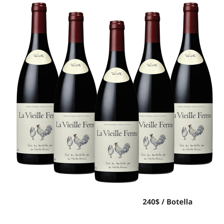 Compra 6 o 12 Botellas al Mejor Precio – Enoterra — Enoterra Wine Market